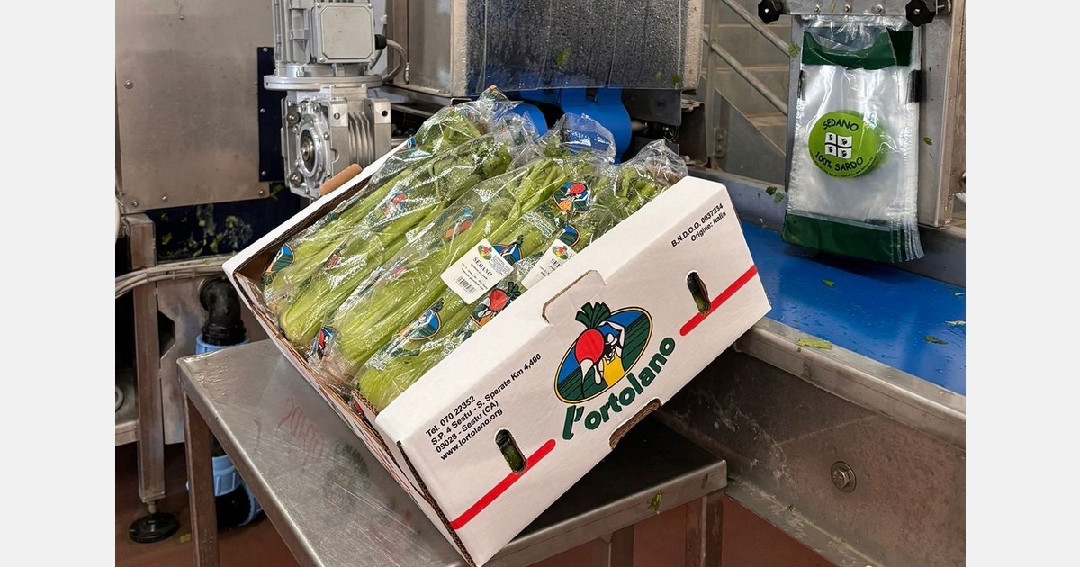 A modular celery line to increase yields