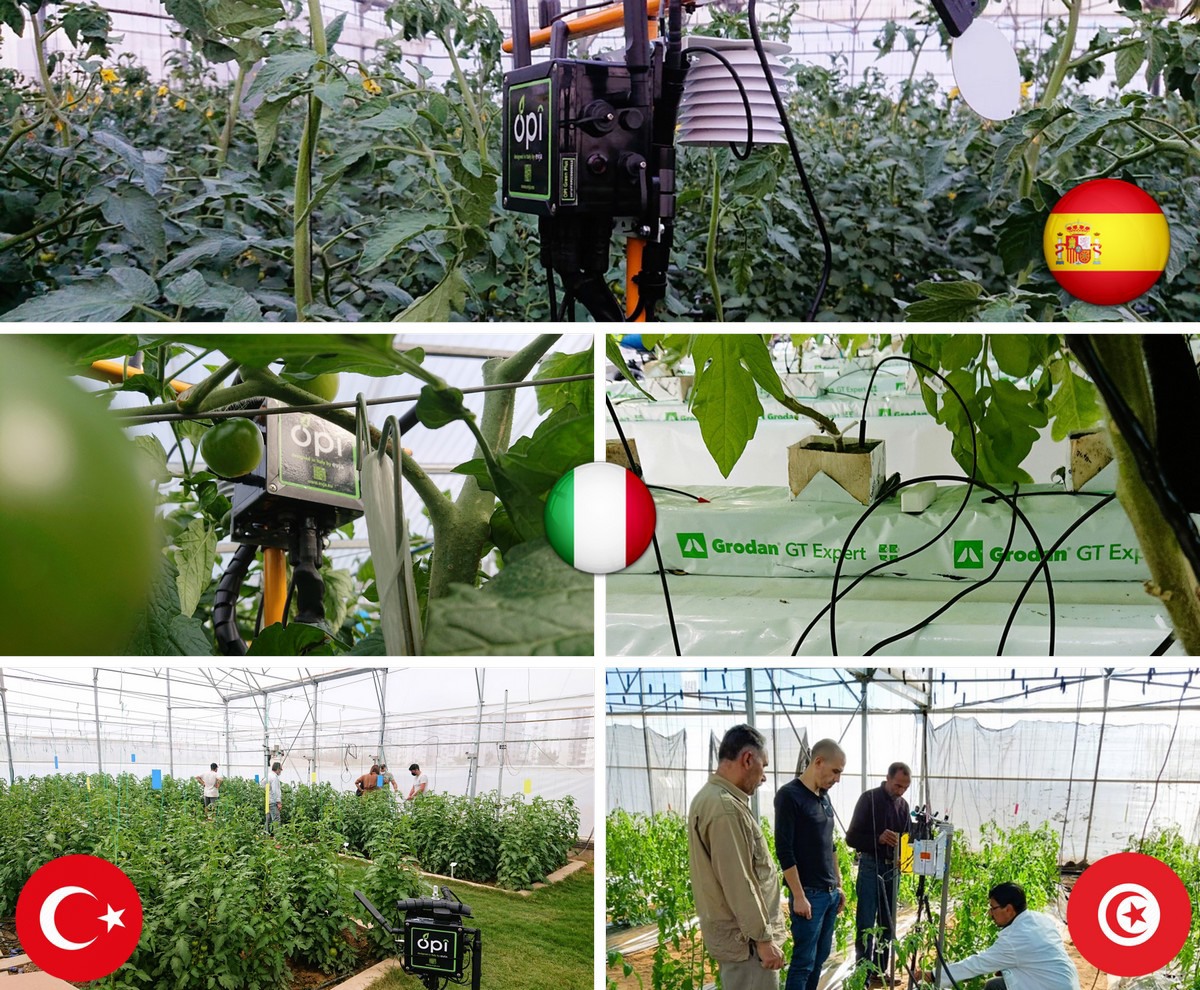 A Decision Support System to improve irrigation and quality