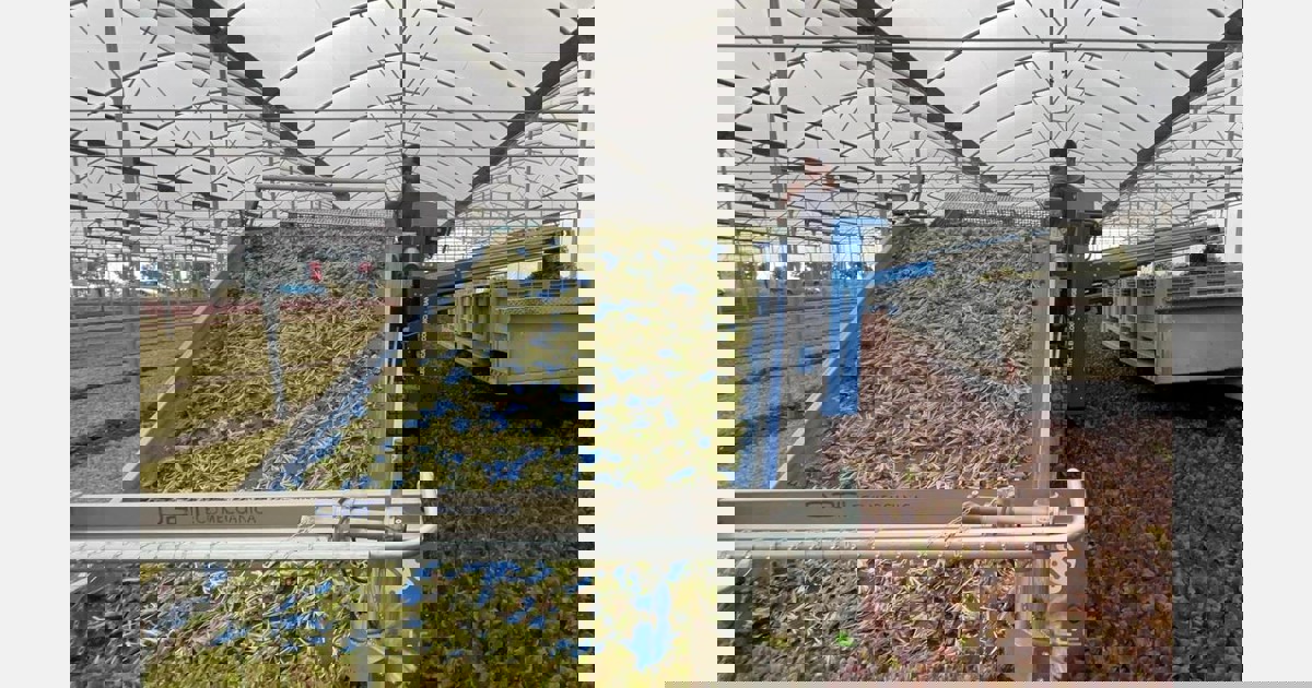 A harvester that maximizes harvesting efficiency and preserves product ...