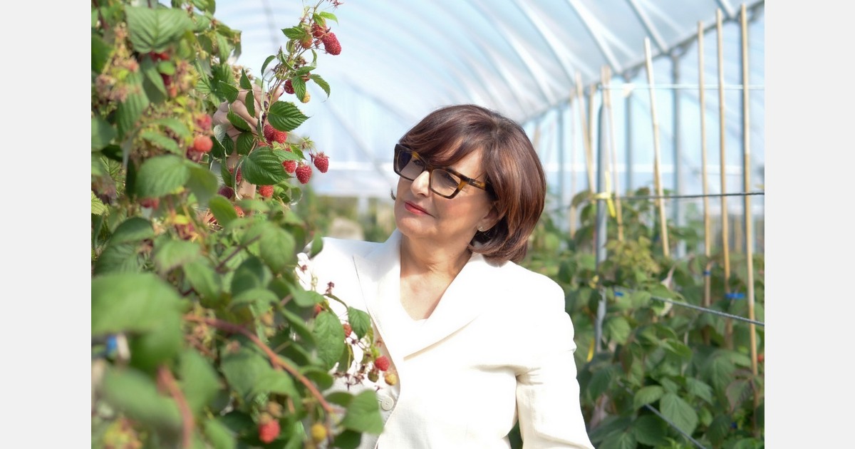 "We have almost doubled the value of our raspberries"