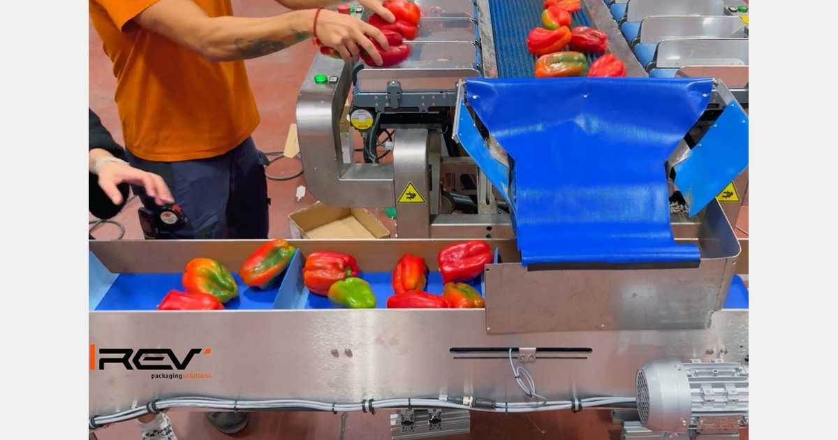 New netting machine for bulk products