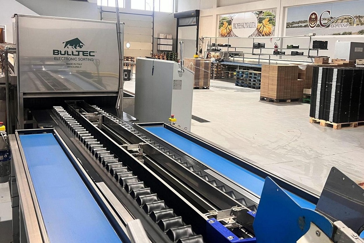 A specific and exclusive sorter for courgettes and cucumbers