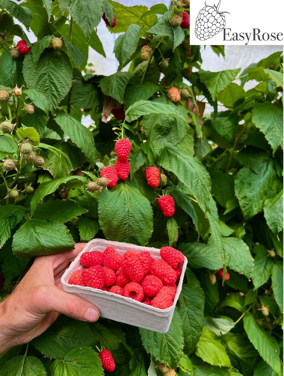 "We are looking forward to next season and all the fresh starts it will ...