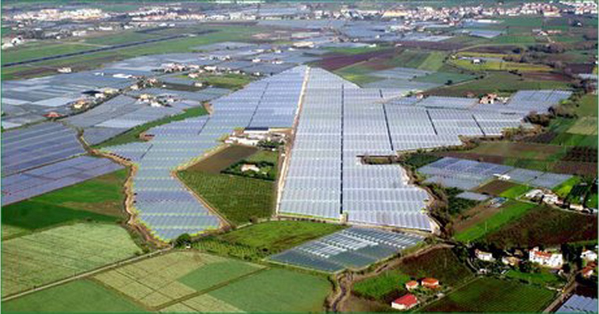 Italy: The Piana del Sele is Europe's reservoir of rocket and baby leaves