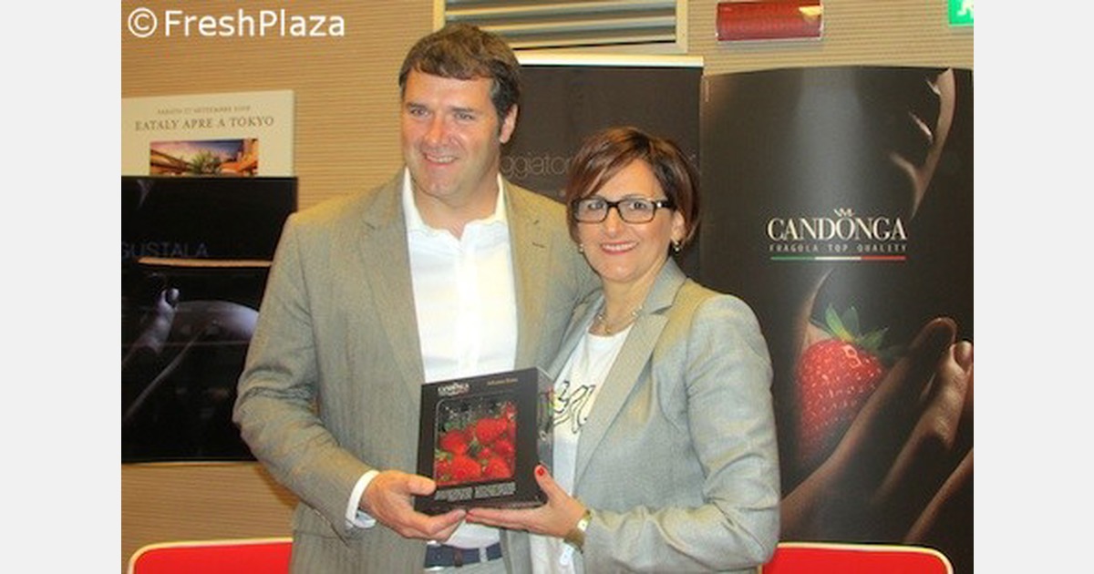 "Italy: Only the "Club" guarantees a top selection of Candonga ...