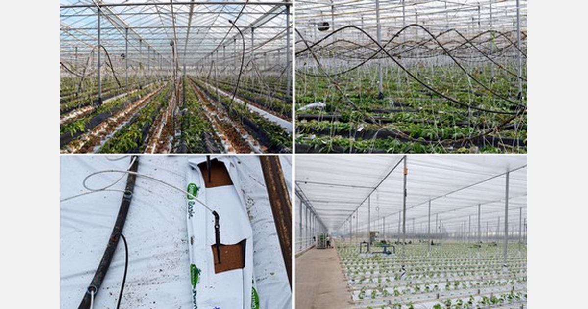 What a greenhouse looks like during crop rotation