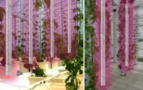"Vertical fixture to make hop cultivation more sustainable"