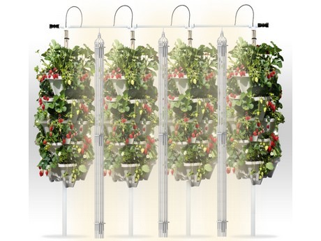 "Vertical fixture to make hop cultivation more sustainable"
