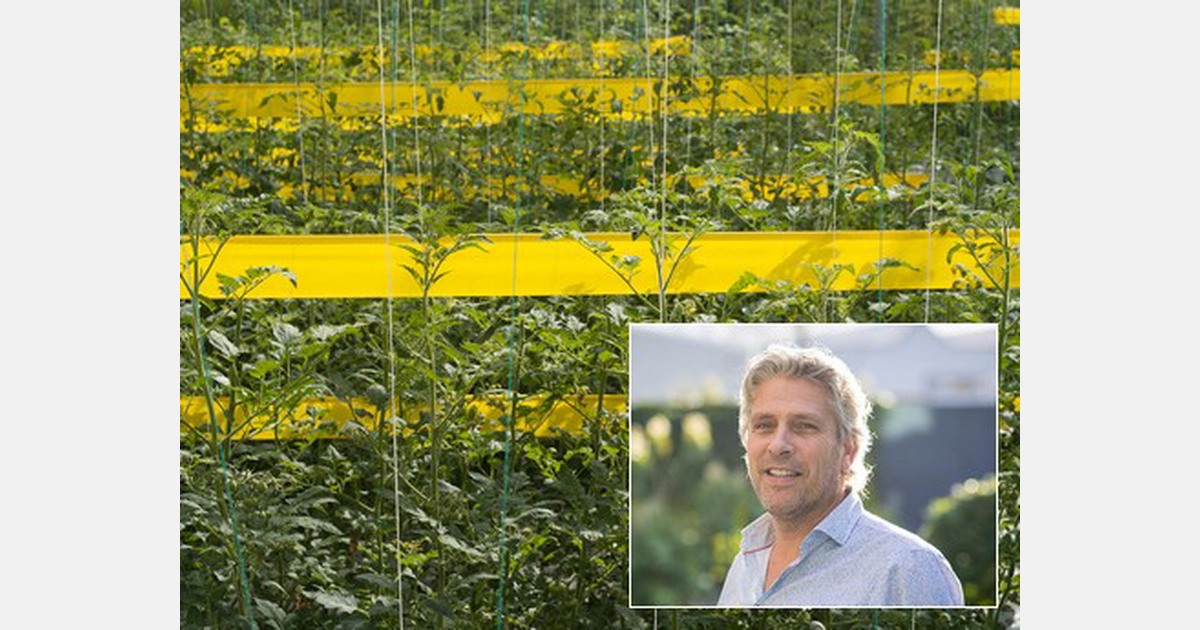 "Virus problems require even better scouting and communication"