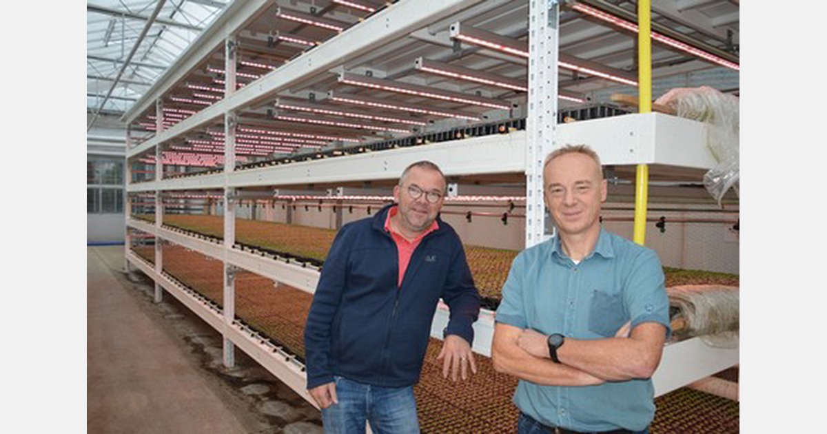 The benefits of multi-layer cultivation... in a greenhouse