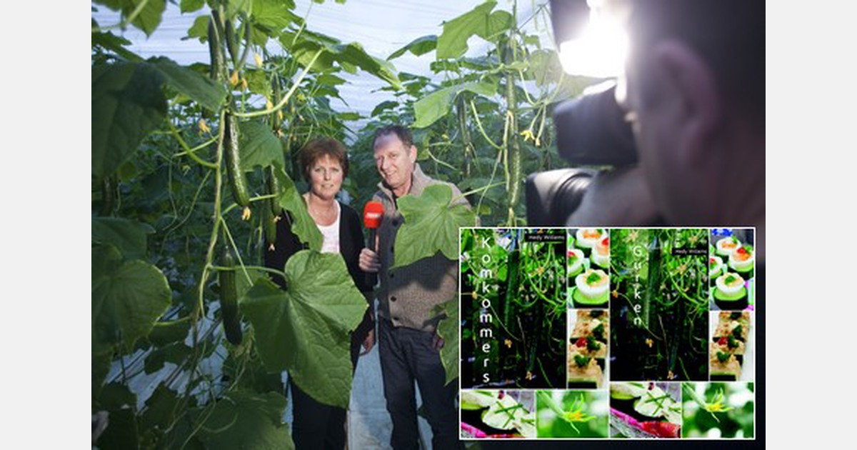 "We are glad the sector followed us in cucumber promotion”