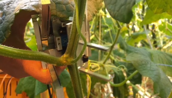 12 horticultural robots to keep an eye out for