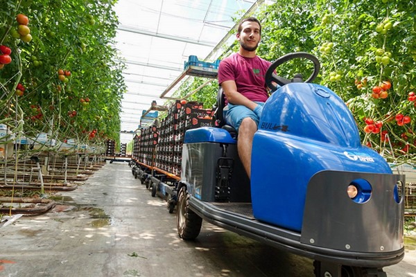 Vine tomato grower optimizes internal transport with new electric tow ...