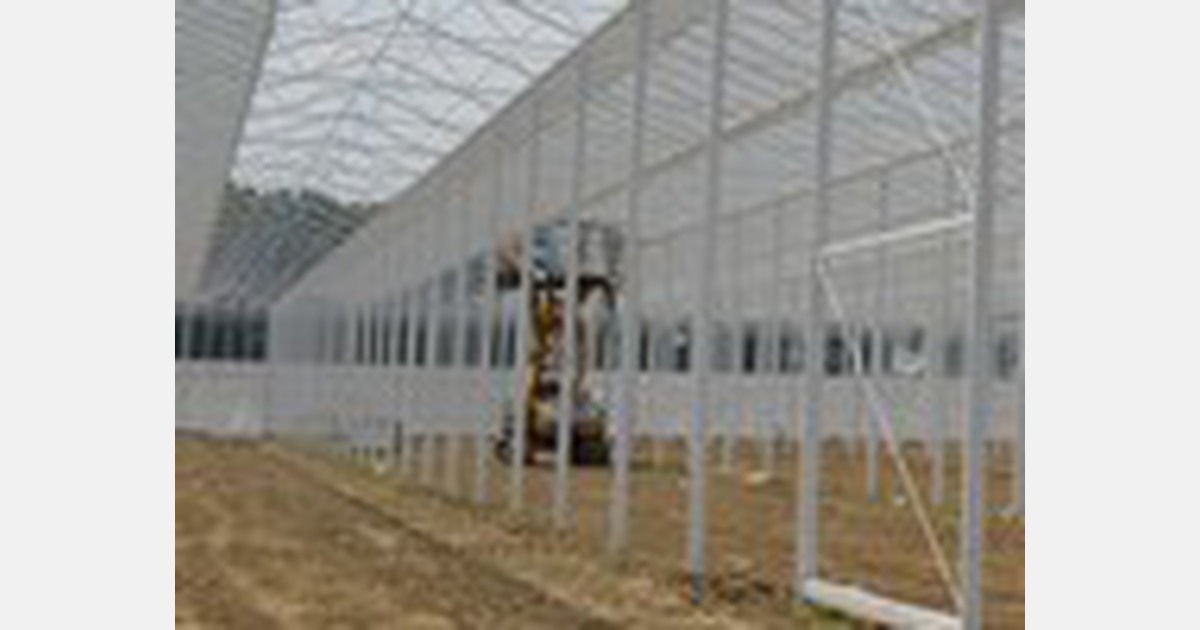 Greenhouse construction gave Ted van der Parre the "best years in his life"