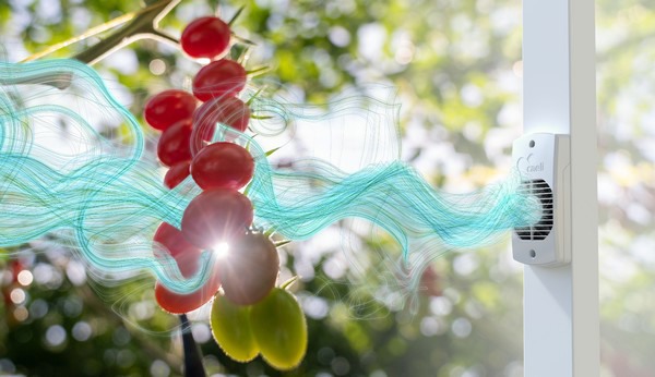 Ventilation unit at plant height in each greenhouse column for more ...