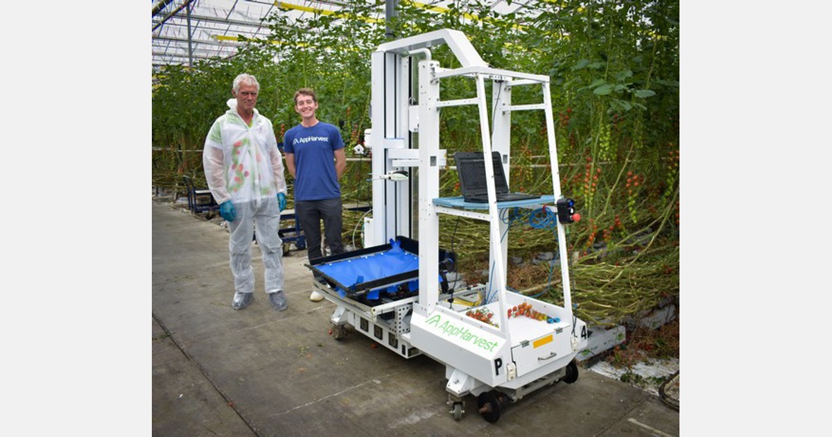 AppHarvest's harvest robot picks snack tomatoes in Dutch Greenco greenhouse