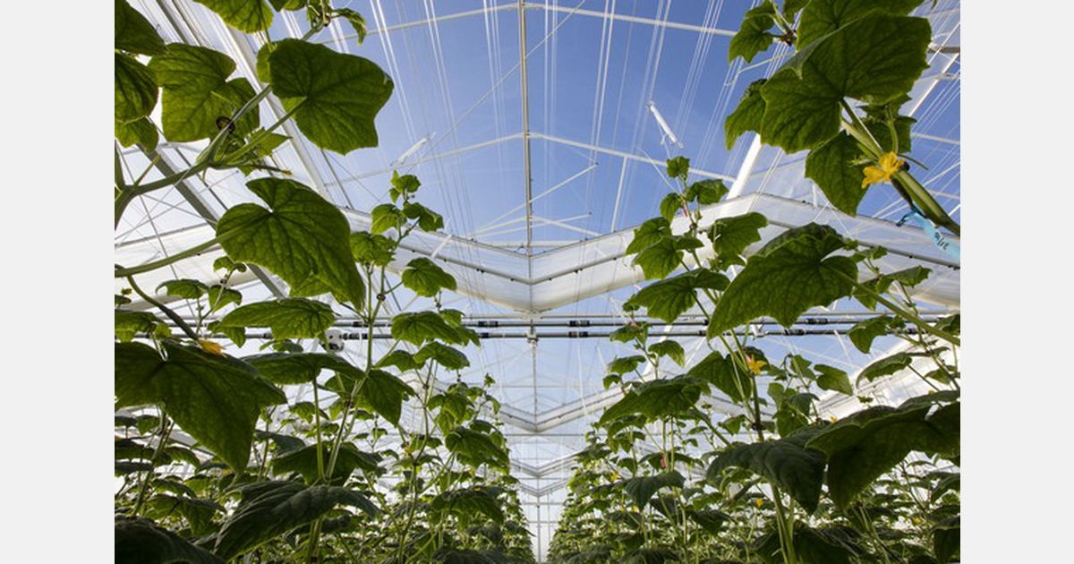 WUR provides insight into course of action for the period 2022-2025