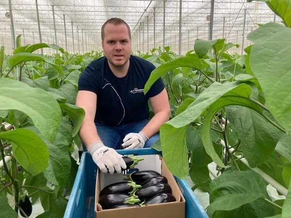 From eggplants to bullseyes: Dirk is the 'Aubergenius'