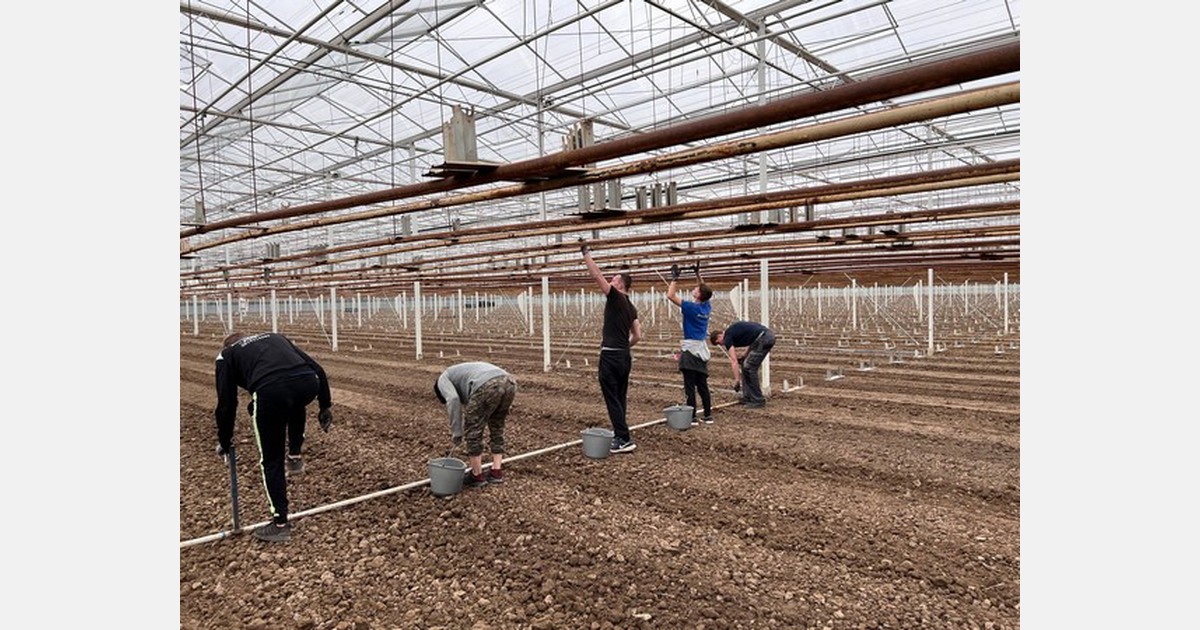 Conversion of greenhouse for organic cultivation in full swing at Vitensa