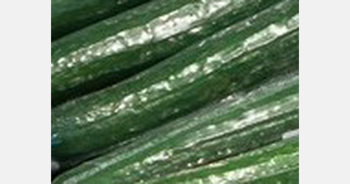 Price of organic cucumbers stable above-average