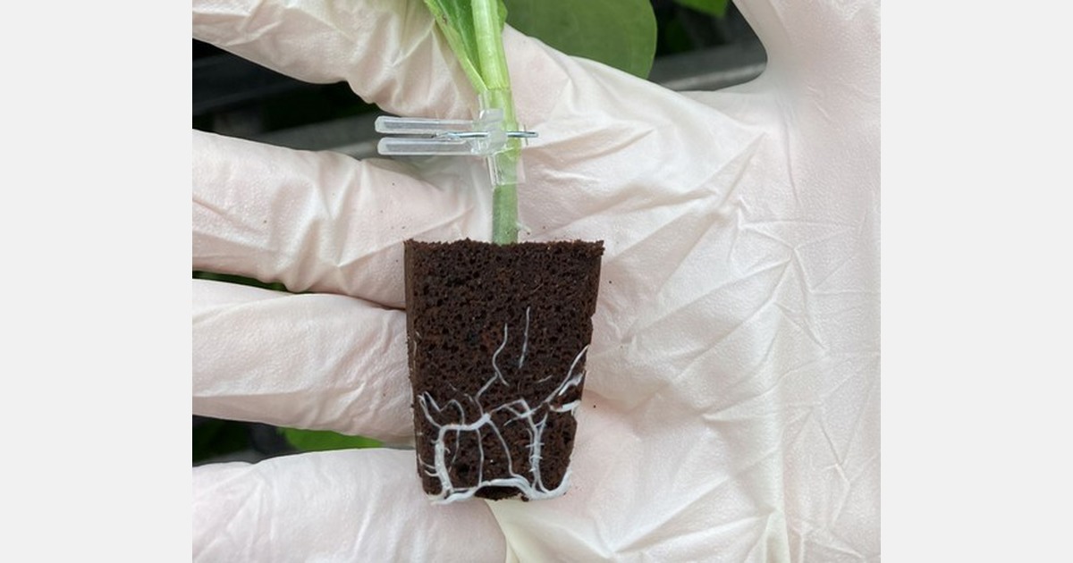 Stabilized organic substrates now TŪV biobased certified