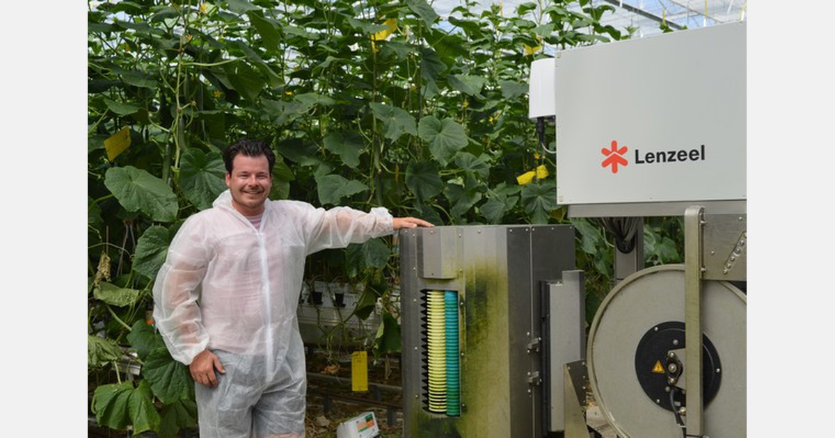 Cucumber grower let robot do most of the leaf picking