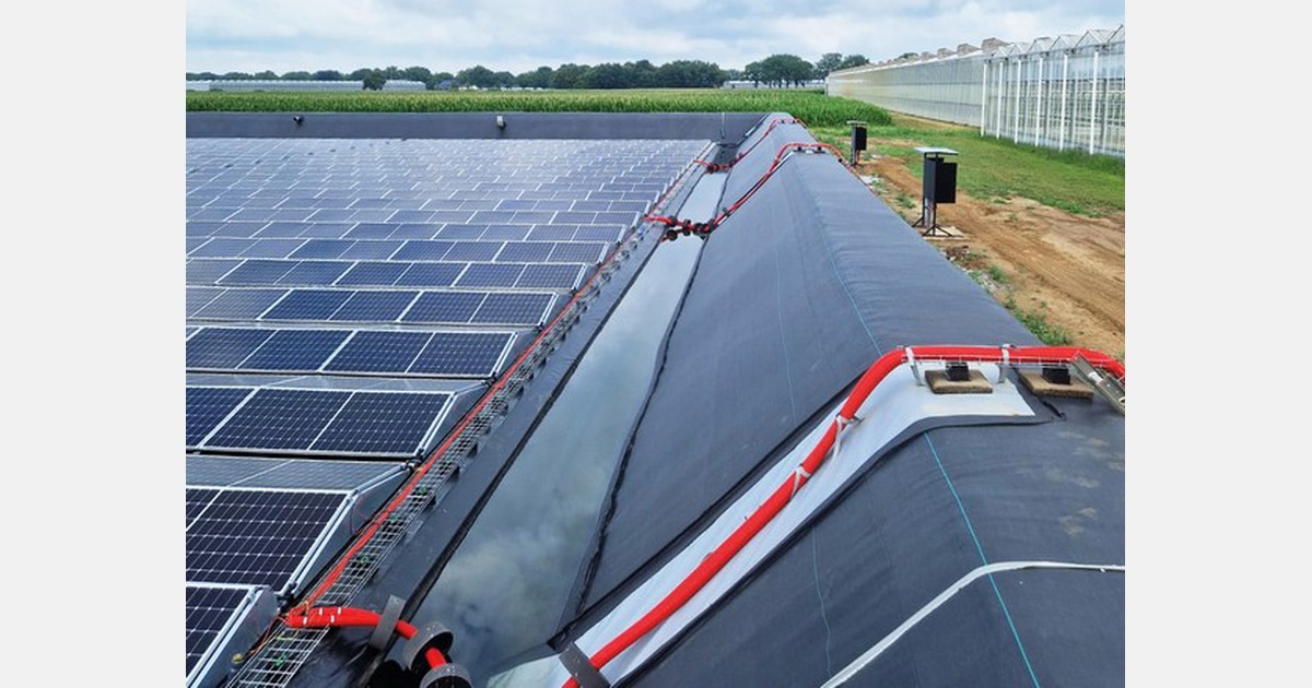 Dutch plant nursery's entire water basin covered with solar panels