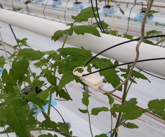 "With the Plant Monitor, you truly get to know your plants”