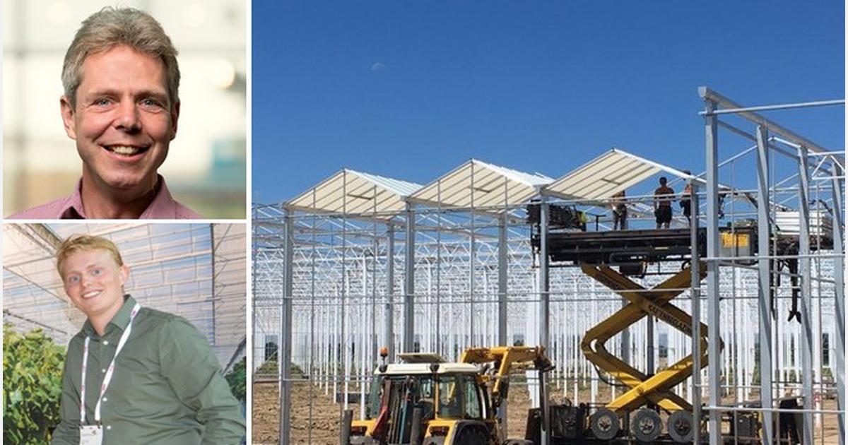 The Dutch developed a greenhouse that uses a single language, aimed at ...