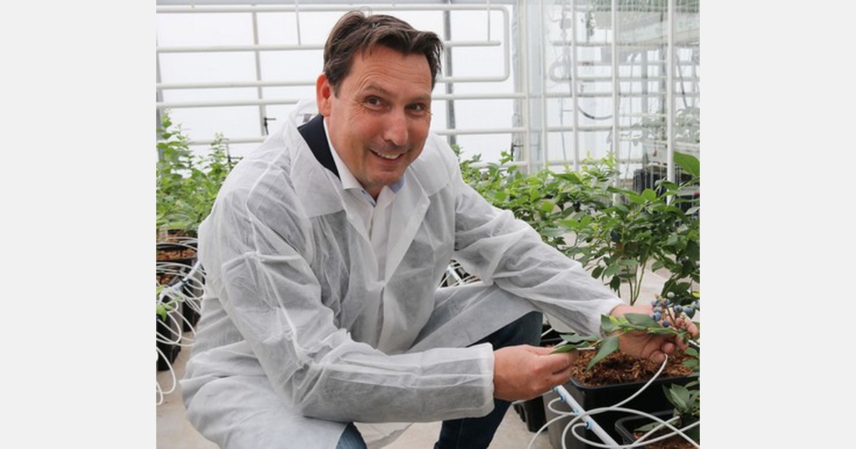 Olaf Meijer has passed away