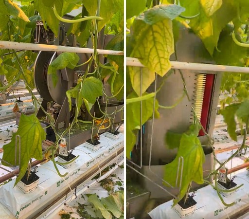 Year overiew: 10 stories on greenhouse robots