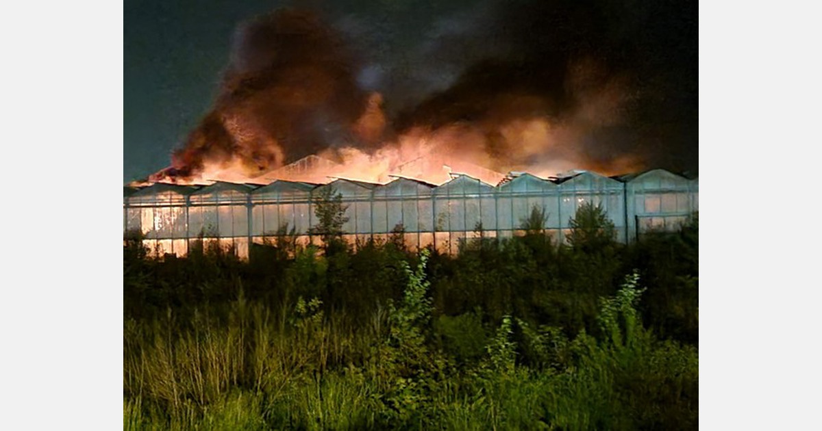 Large fire at Dutch greenhouse complex