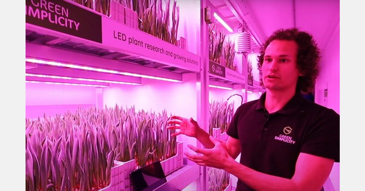 Green Simplicity joins GreenV