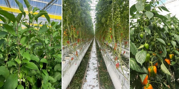 "Making the best models available to every grower"