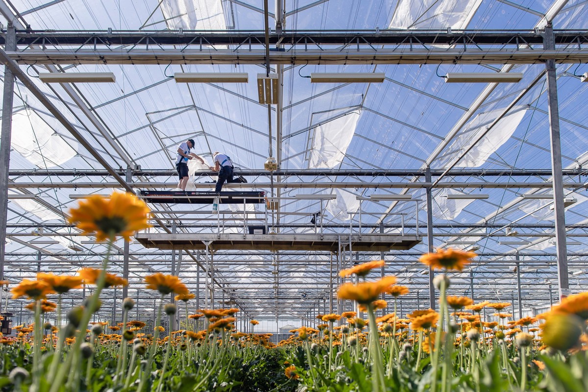 Insect mesh filter continues to amaze with new insights on climate making