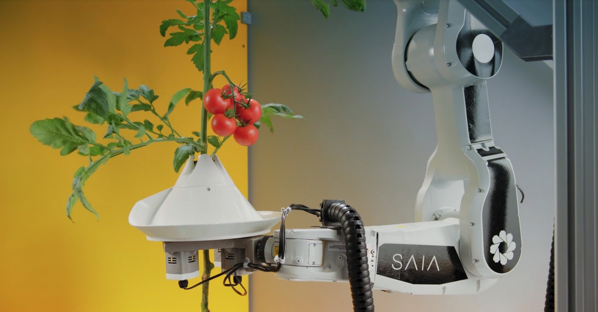 Year overiew: 10 stories on greenhouse robots