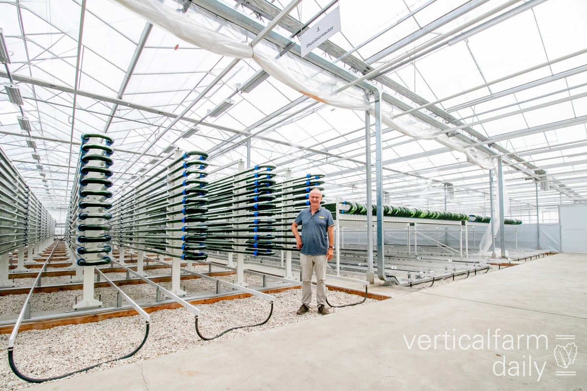 NL: Algae grower pivots from hybrid to growing indoors without daylight