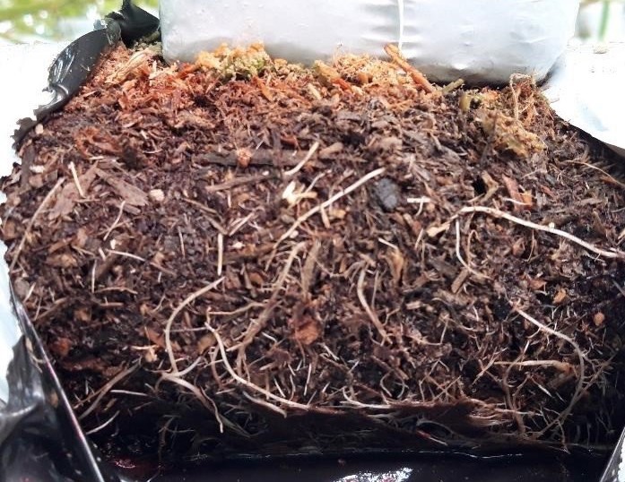 Organic substrate slab ready for upscaling after successful testing