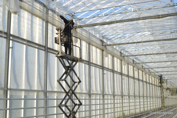 Dutch pepper grower heading into the new growing season with a ...