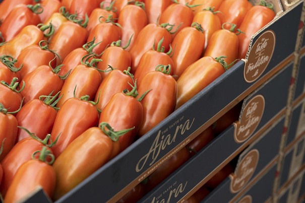 Tomato grower finds success in taking matters into their own hands