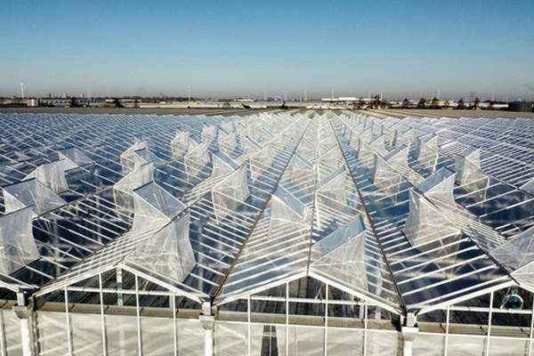 Insect screen system for frameless windows introduced