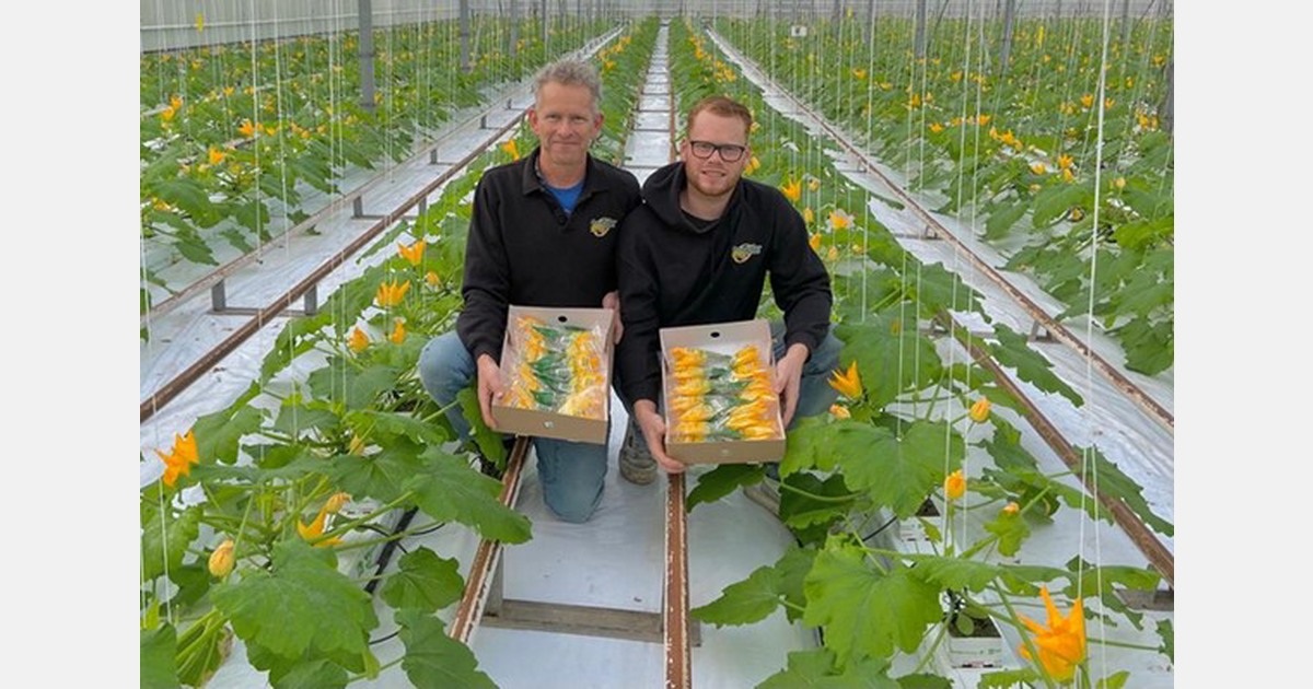 First harvest of the new season: "The fresher the product, the more ...