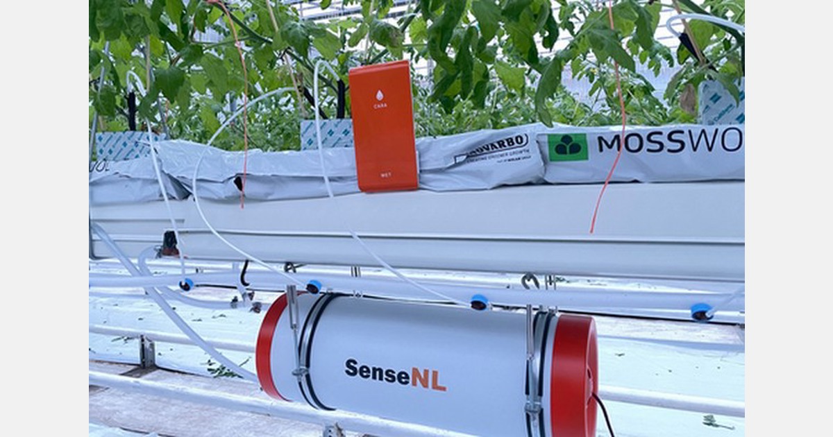 New drain sensor reveals what's happening in the root zone