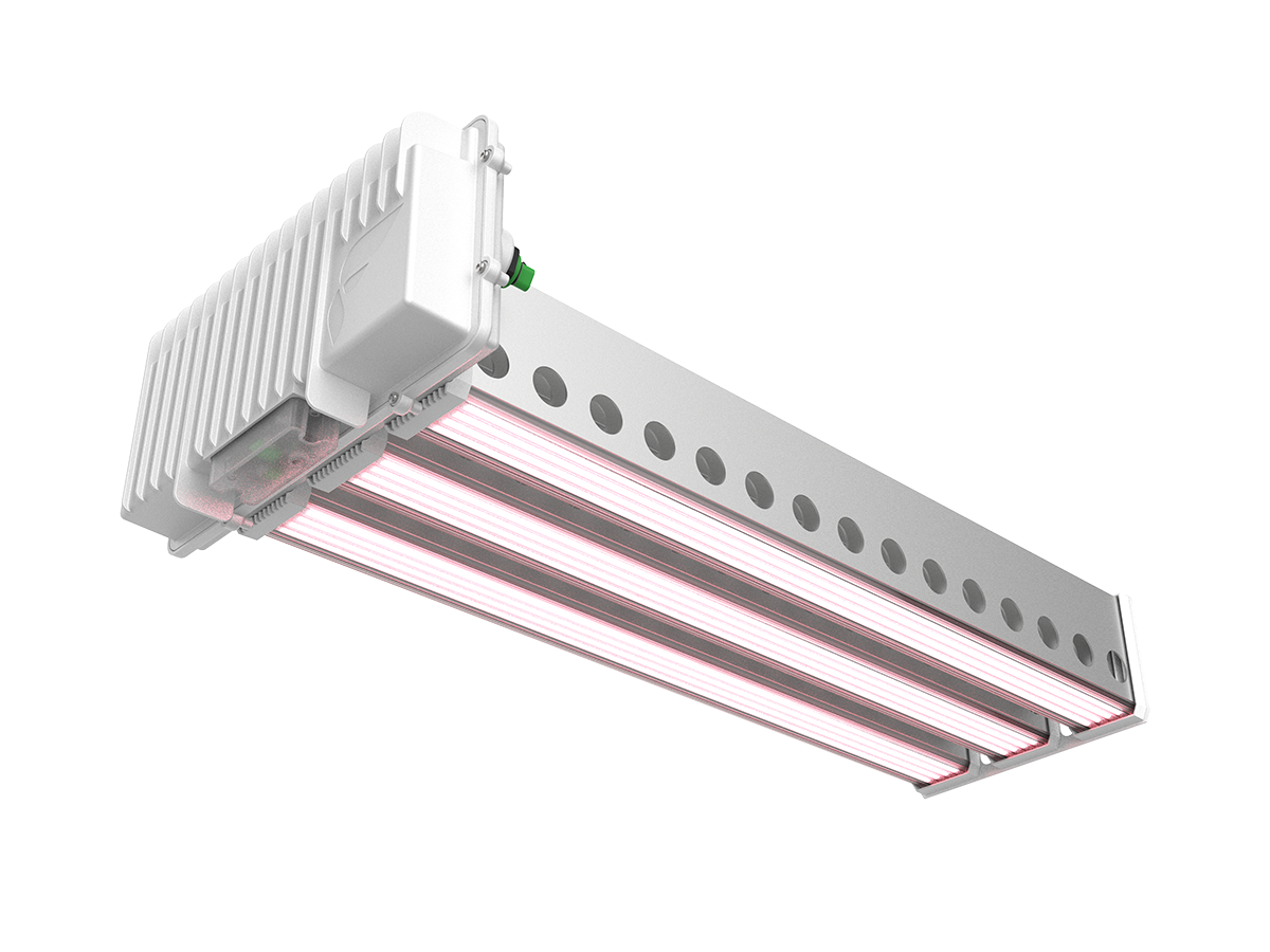 "Maximum versatility with tunable, next-generation RAPTR and VYPR fixtures"