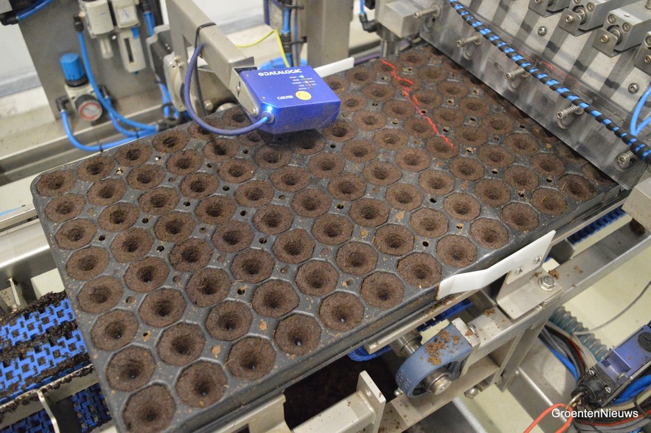 Syngenta's latest greenhouse in Enkhuizen is an 'inspiring example' for ...