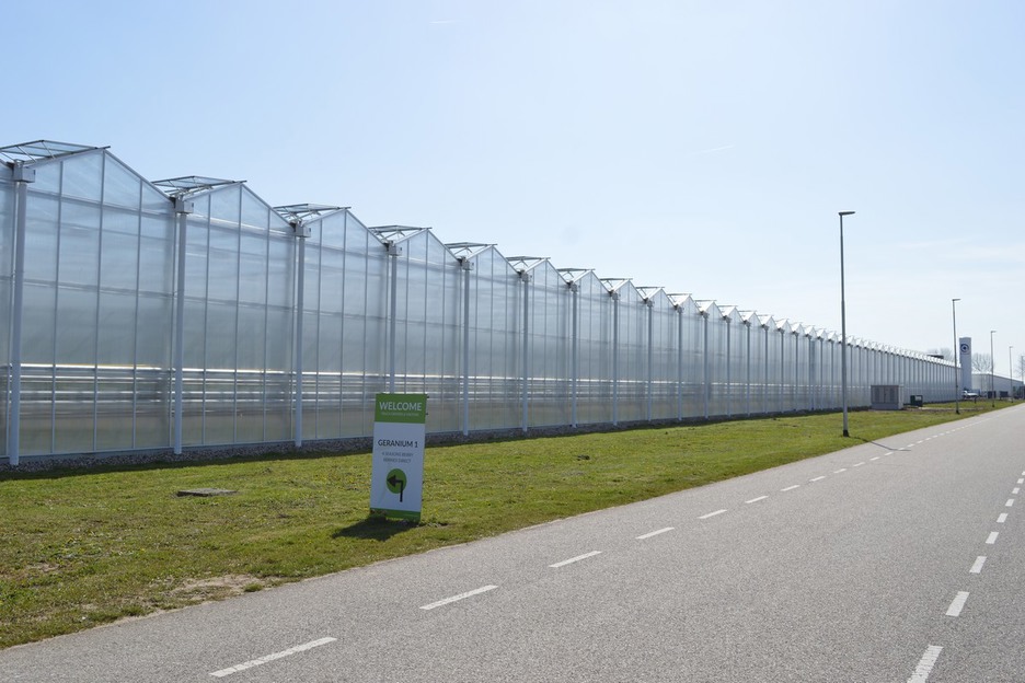 Greenhouse expansion projects