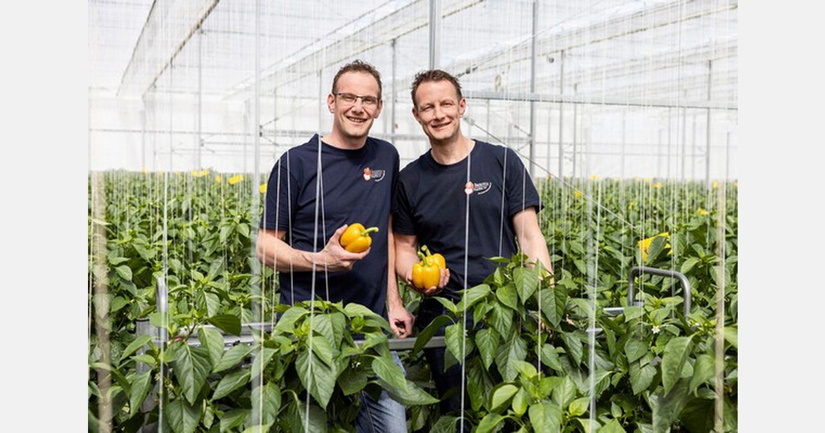 NL: Jansen Paprika acquires nursery from colleague Carlo Zwinkels