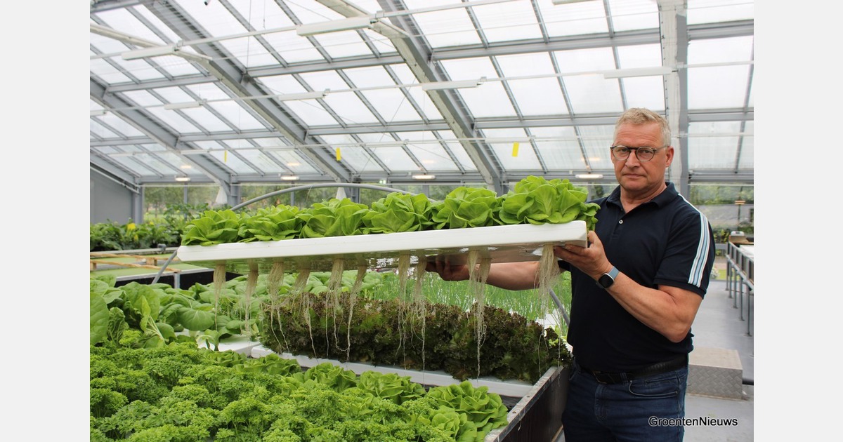 Grower soon to make own biodegradable biobased substrate plug with ...