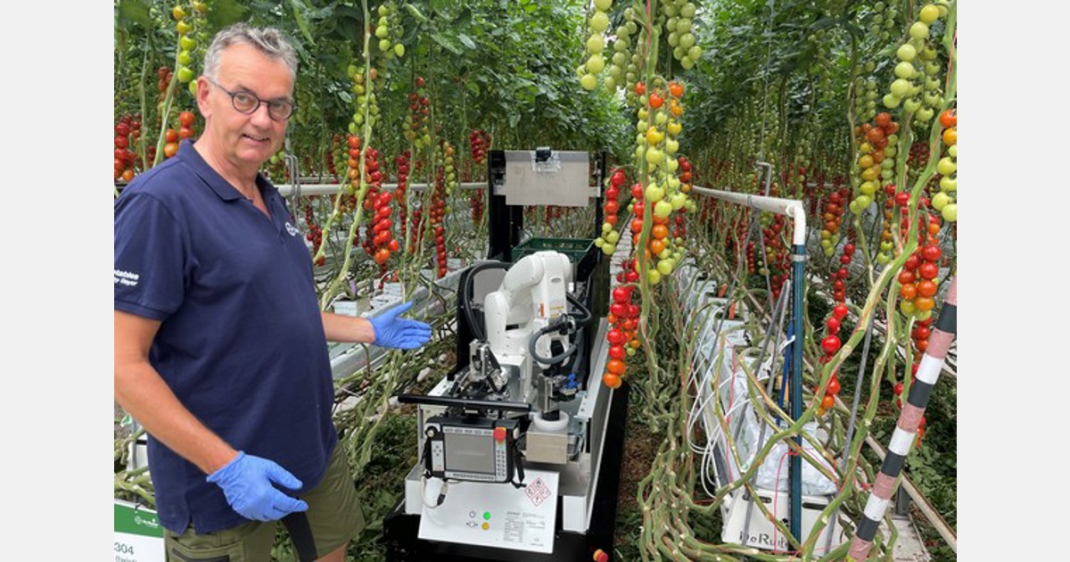 How will robotization affects Bayer De Ruiter's breeding program?