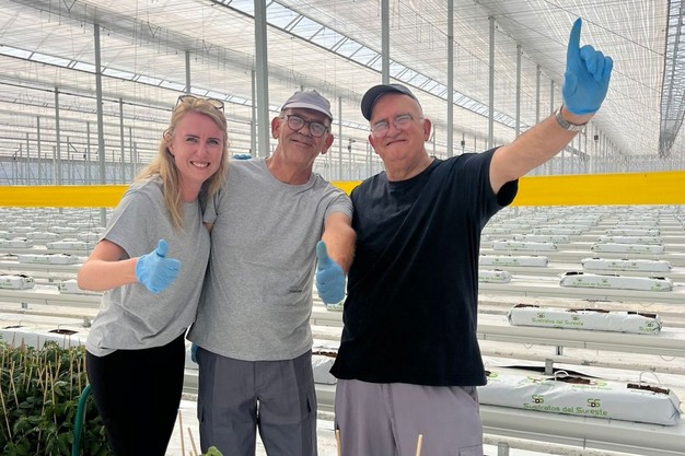 First tomato plants in newest greenhouse Looije Águilas